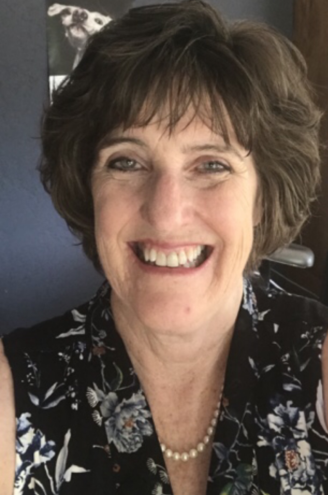 Pummeled from all Directions at Once: Anxiety and Depression During the ...